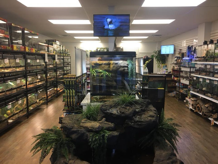 Exotic Pets - Reptiles & Fish Pet Store